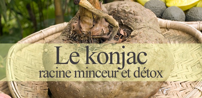 LE KONJAC Une racine minceur et détox. - Biotraiteur slurps